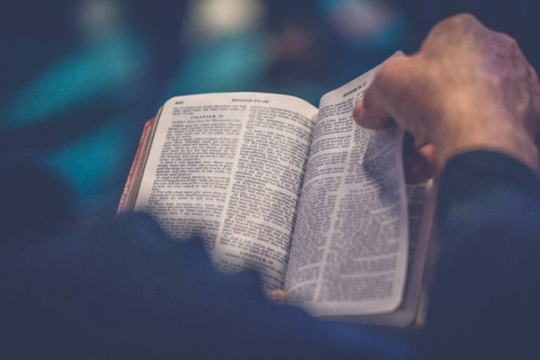 🥇 20 Best Bible Verses About【 2021 】Cursing and Swearing