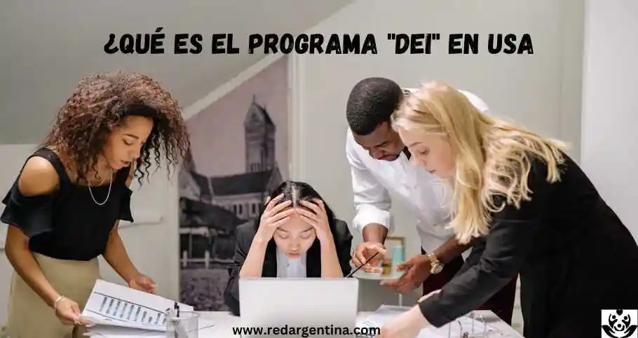 ¿Qué es el programa DEI en USA?